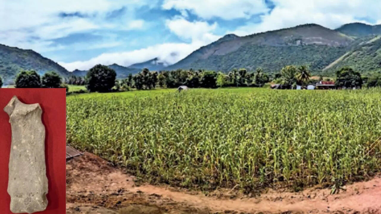 Rhinos in Tamil Nadu? Archaeologists find 3,500-year-old bone fragments ...