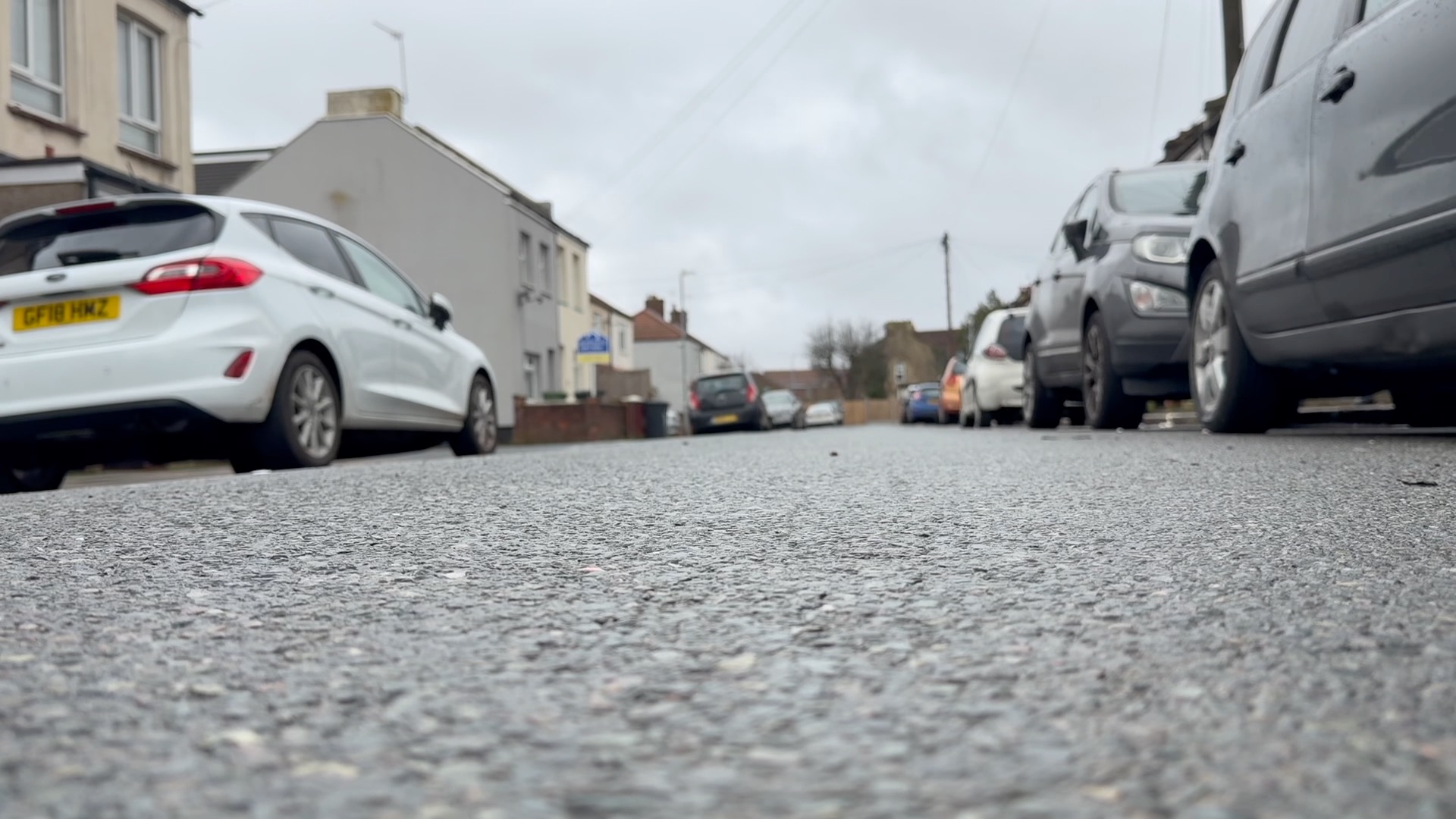 Laura Edie calls for new laws for cats killed on the road