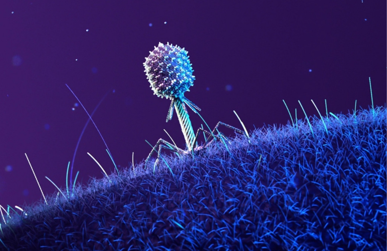 Space-induced mutations show potential against antibiotic-resistant ...