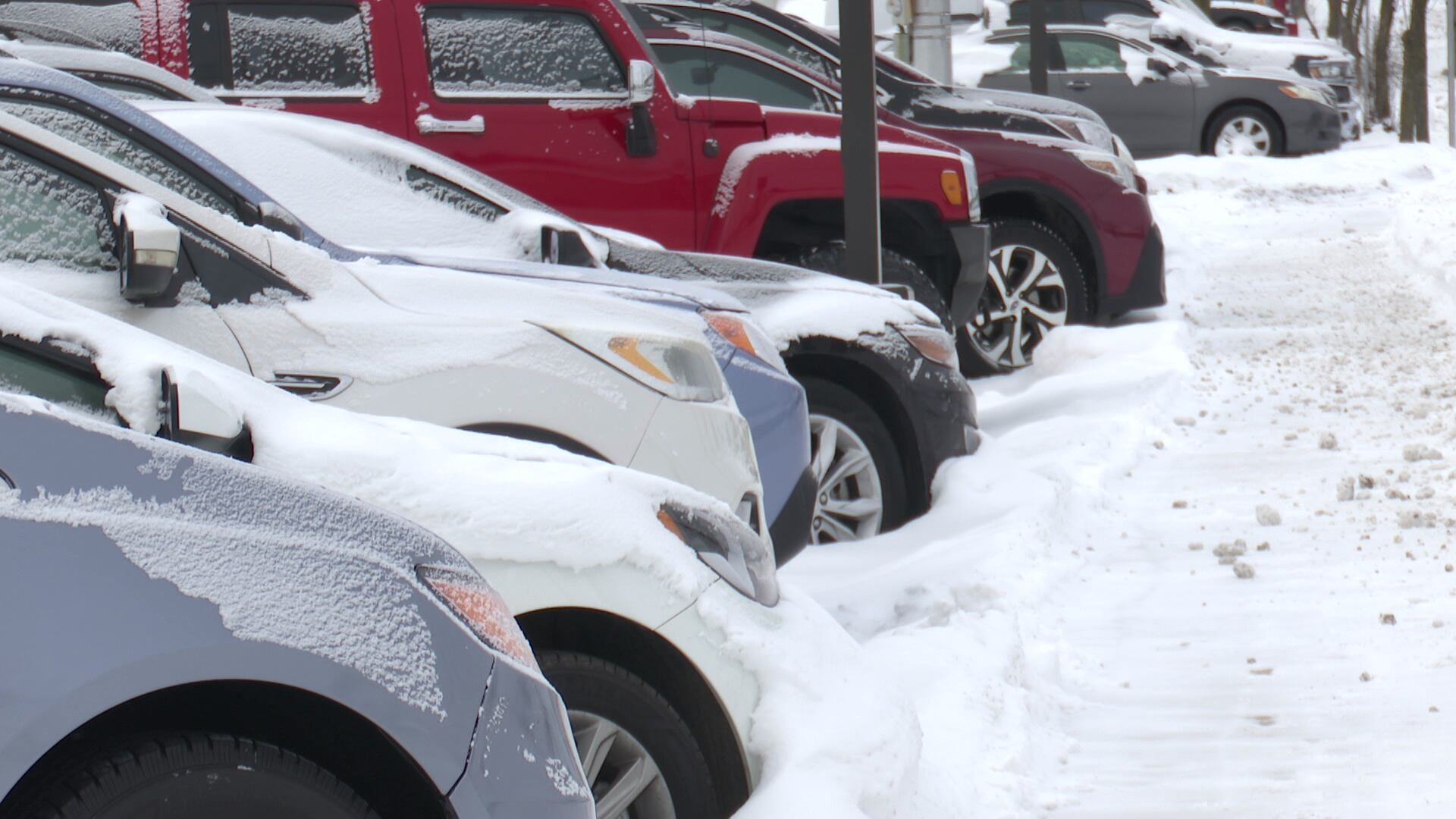 Auto shop owner urges winter vehicle checks amid brutal cold