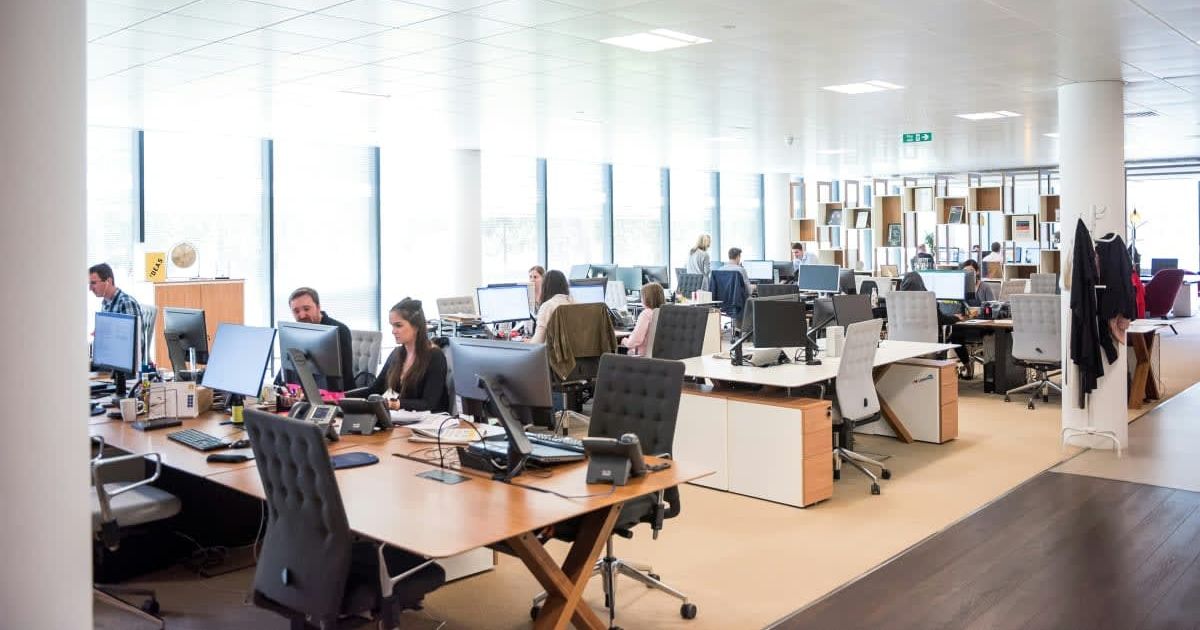 Mike Rowe has a major warning for workers about AI — names professions ...