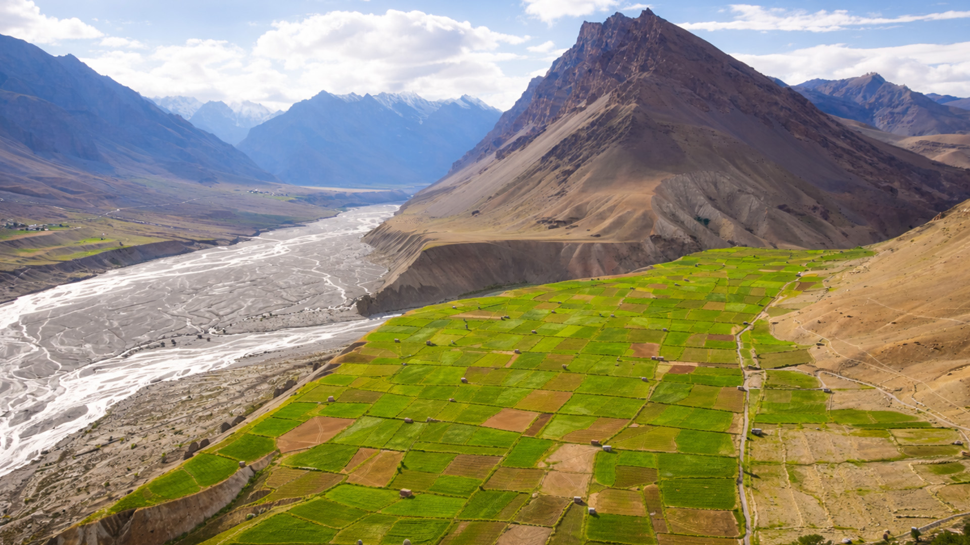 Landbruk på kanten av Himalaya
