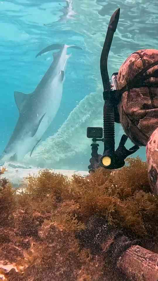 Stay calm and don't move