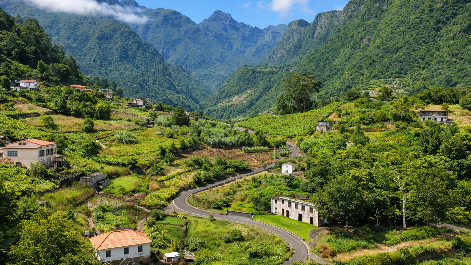 Living between mountains and forests