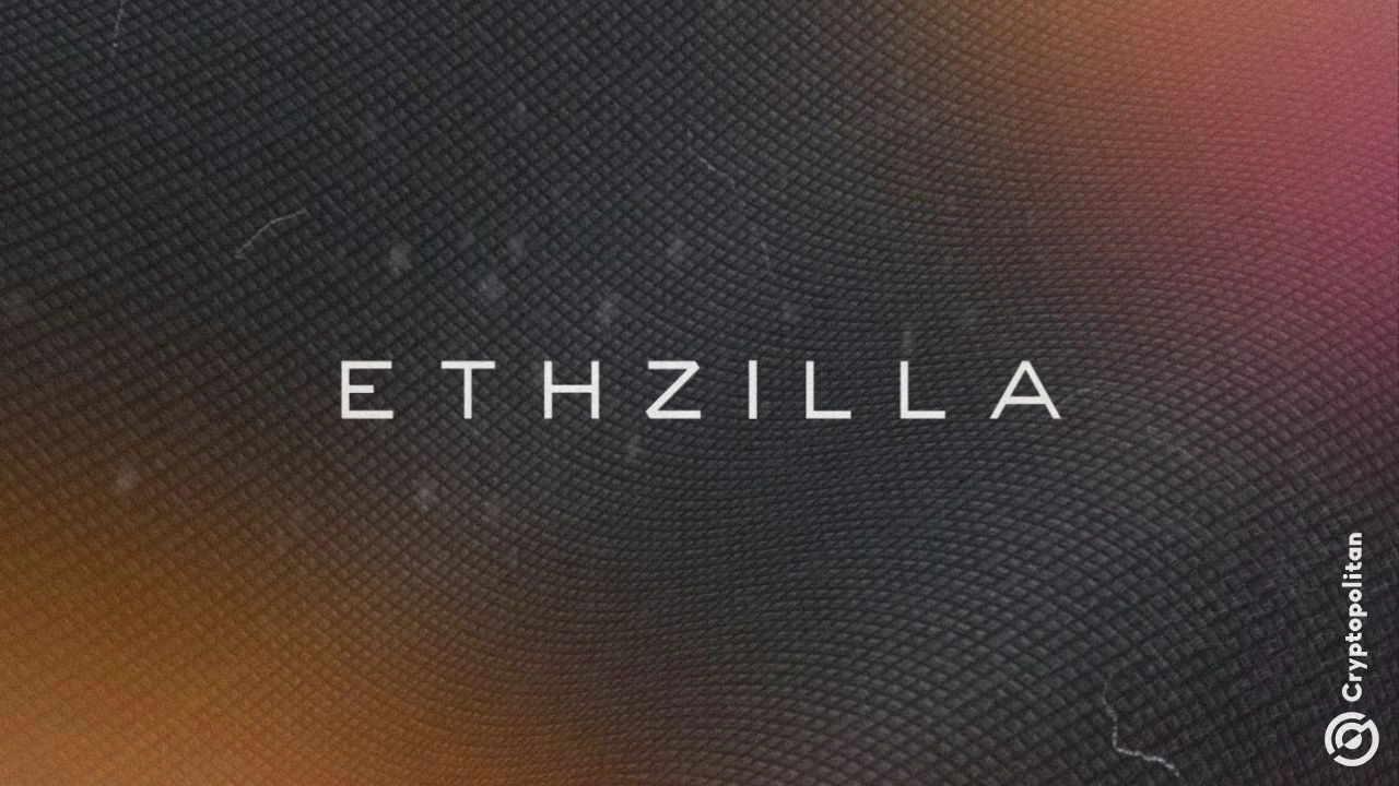 ETHZilla spends $12M on two plane engines to advance tokenization push