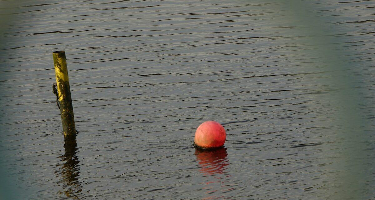Un garagiste sauve une femme de la noyade, qui promet de lui confier sa ...
