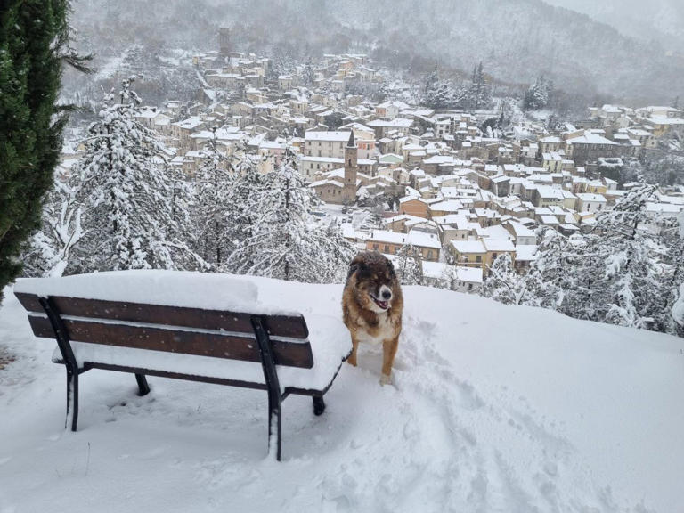Persistono pioggia e nevicate, colpa di una serie di perturbazioni ...