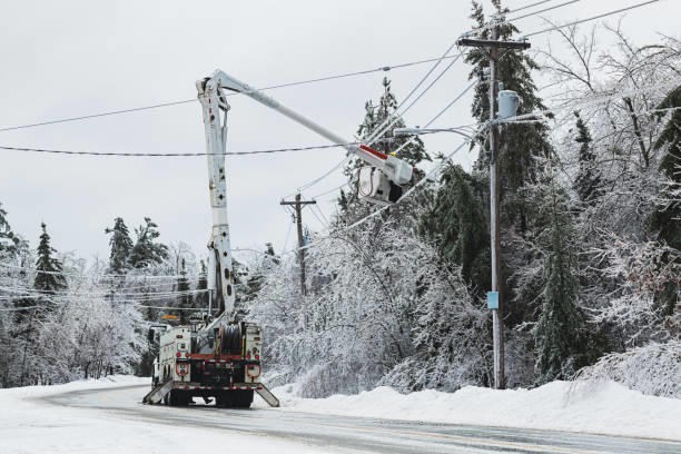 Maps reveal where ice loads power lines and cold keeps roads frozen for ...