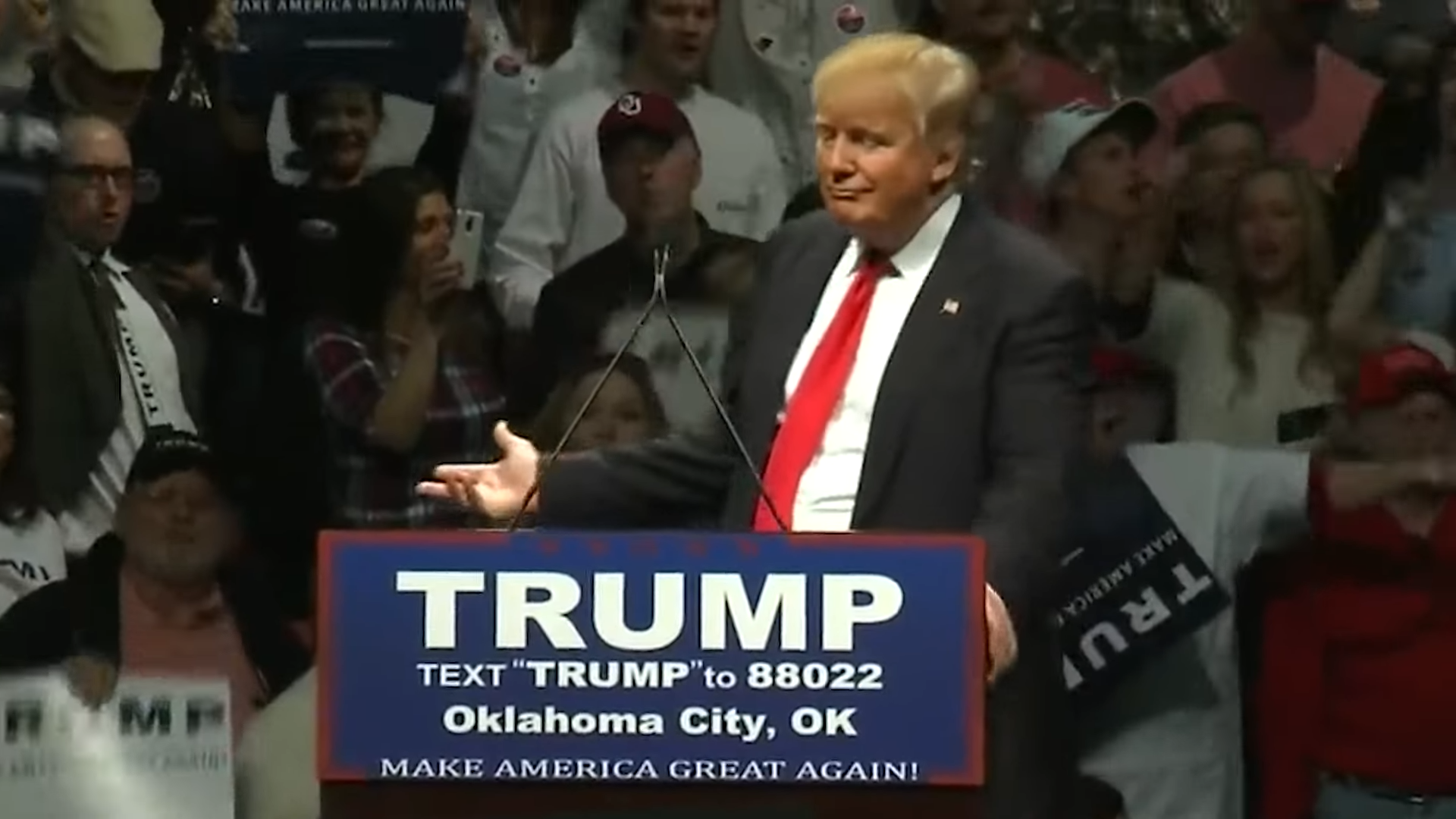 The 9-step playbook to build your own cult