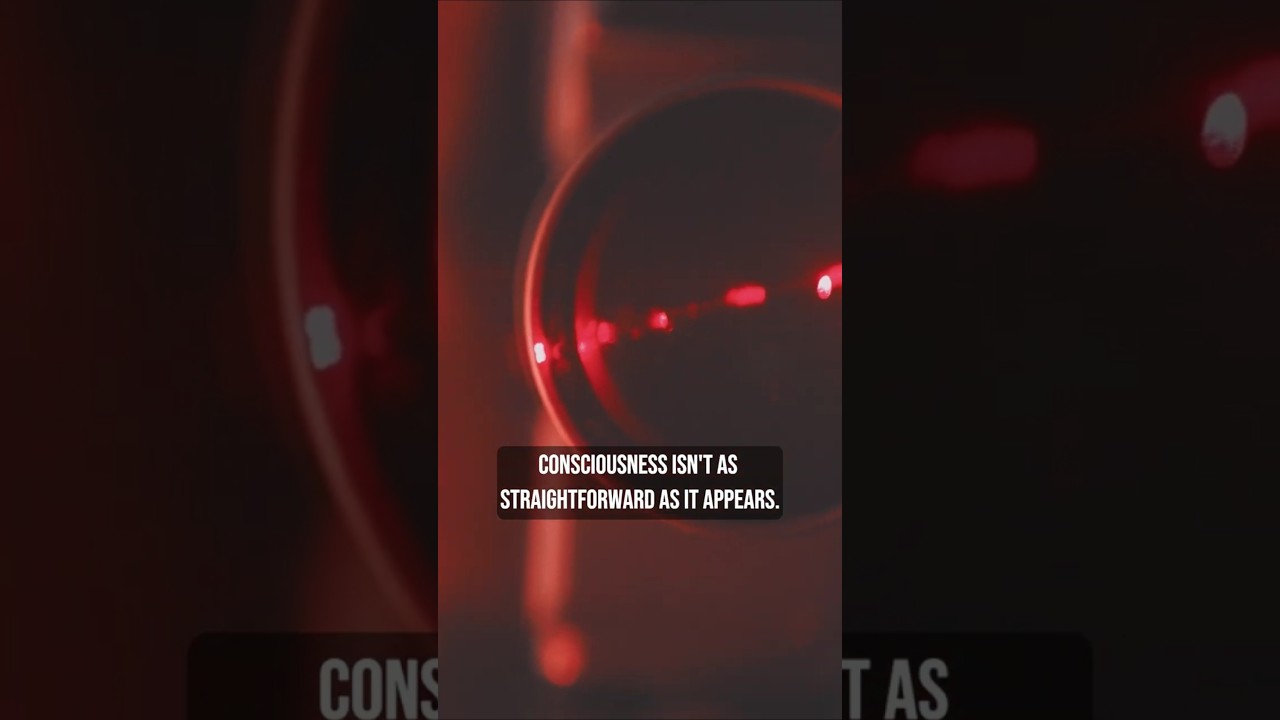Every level of consciousness