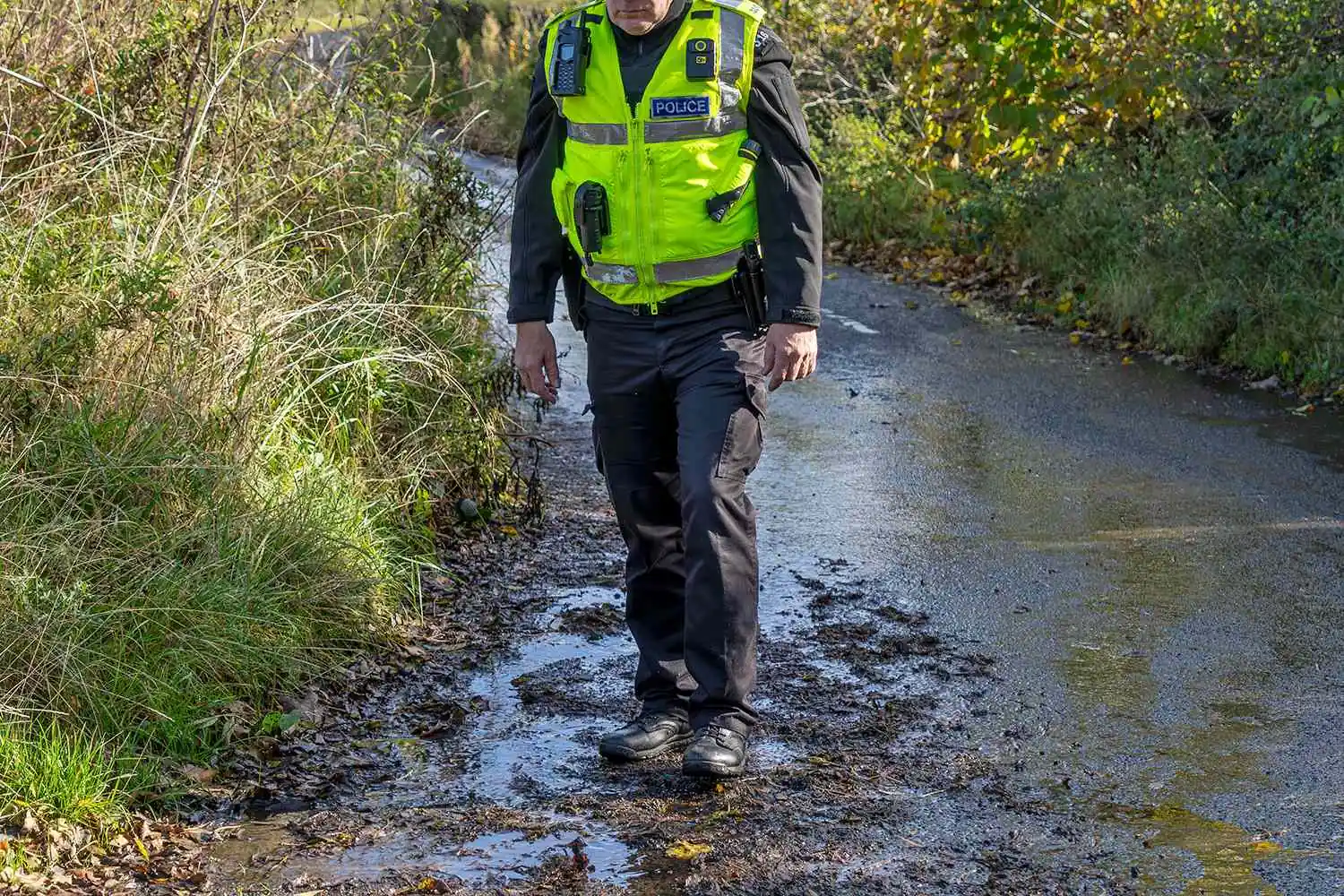 Eva-Rose Wainwright, Charles Wainwright e Alison Longhorn: Legista ...