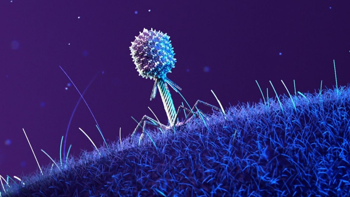Microbes in space mutated and developed a remarkable ability