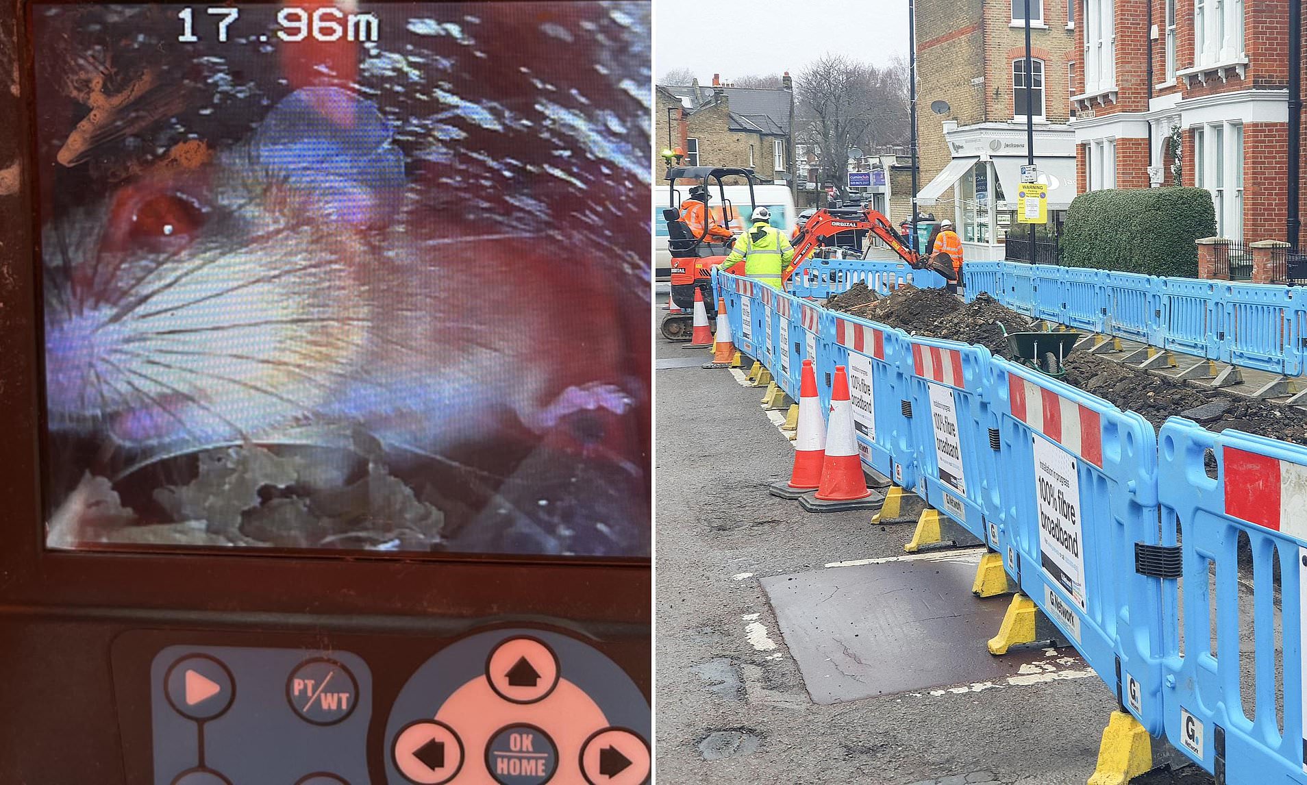 Rats scupper rescue bid for London broadband provider £300million in debt