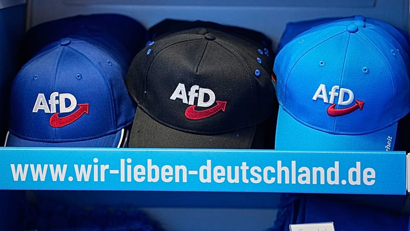 Bavarian AfD proposes ICE-style police unit for deportations