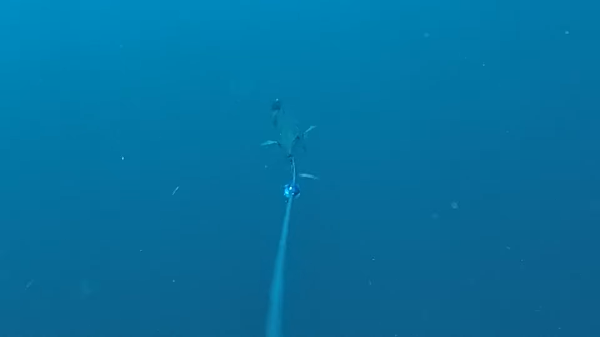 From dangerous reputation to dinner