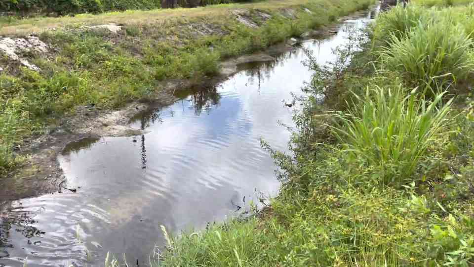 The turtle trap that filled up way too fast