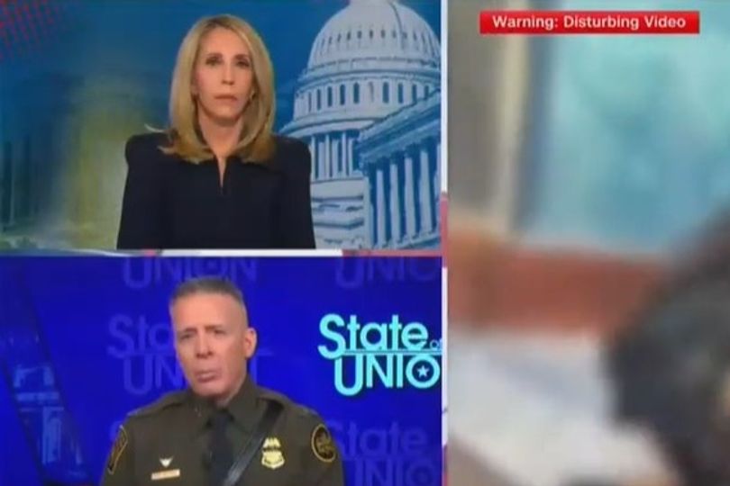 CNN thrown into chaos after heated debate and it's bad news for Trump