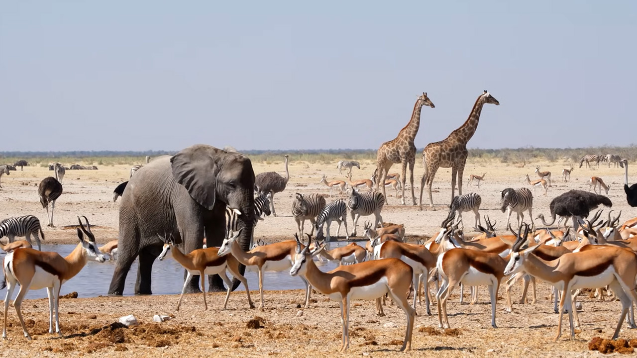 10 nature places to visit in Namibia