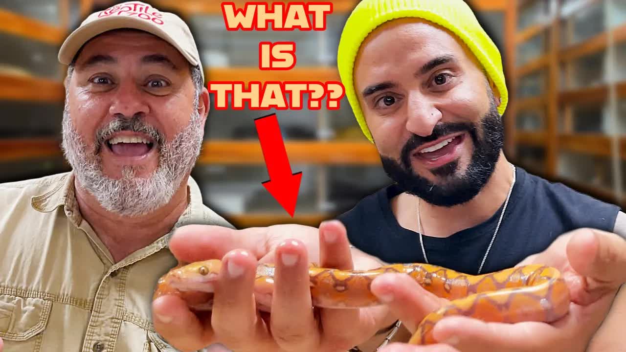 Kris Fade visits the zoo and opens some snake eggs🙌