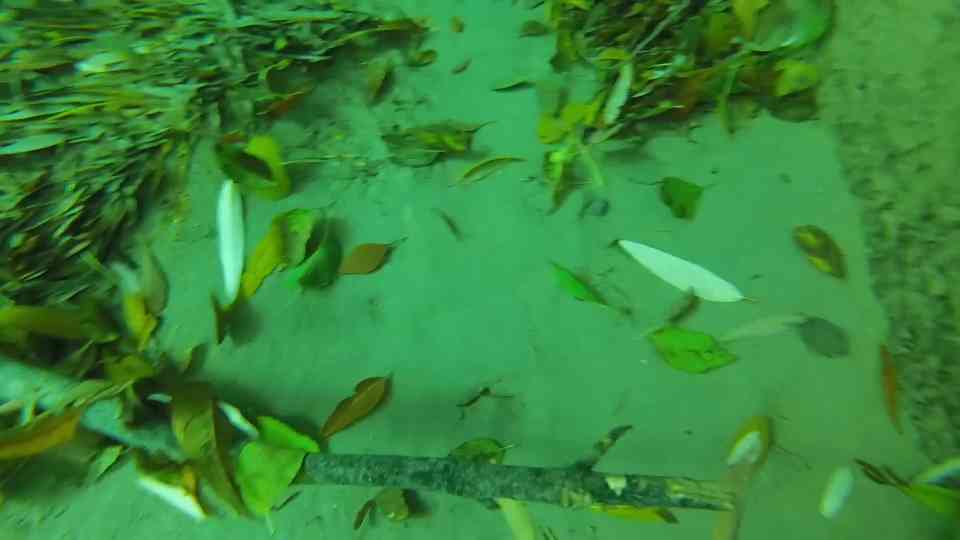 I took a detector into a waterfall… the water didn’t keep its secrets