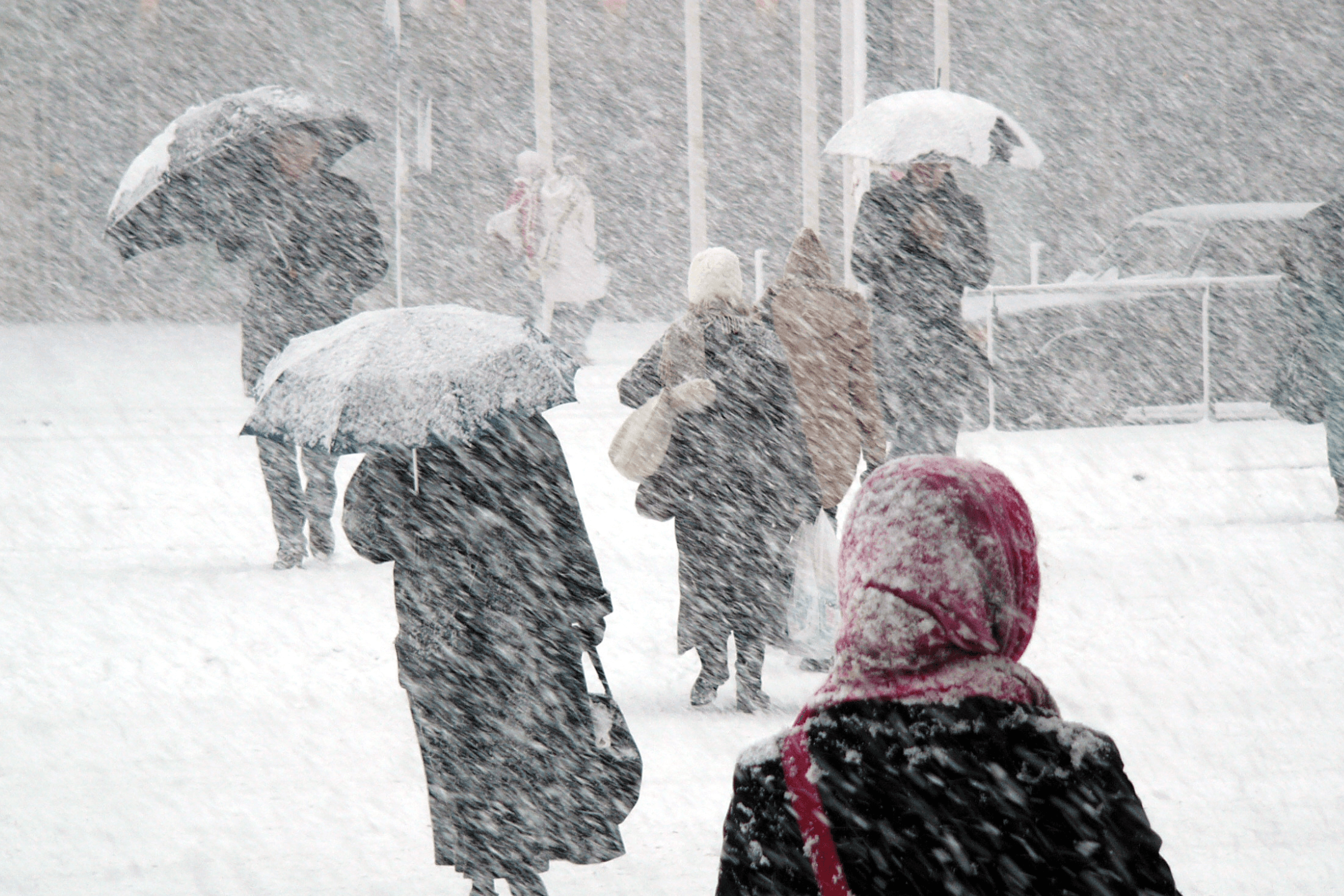 Burza śnieżna sparaliżowała USA. Nie należy mylić tego zjawiska ze ...