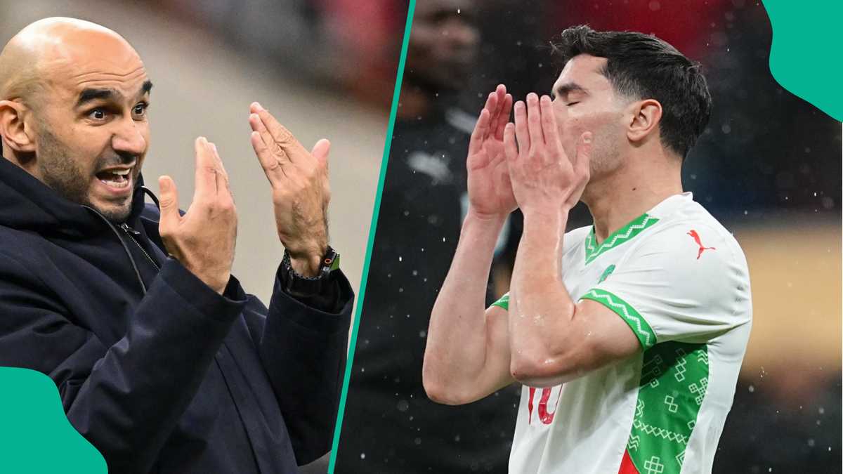 AFCON 2025 final: Footage reveals what Regragui told Brahim Diaz after ...