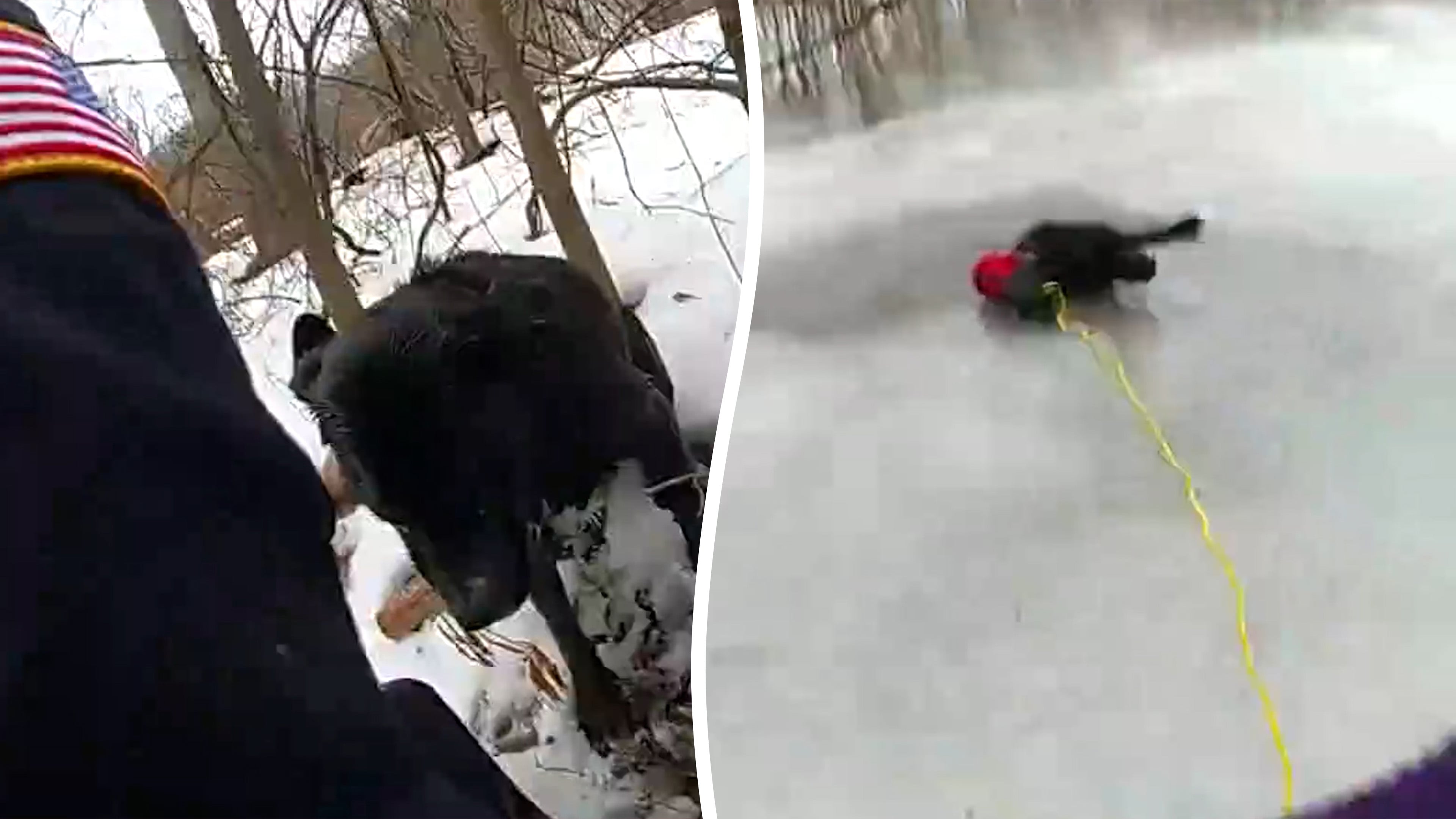 Hund und Besitzerin nach Sturz in zugefrorenen Kanal gerettet