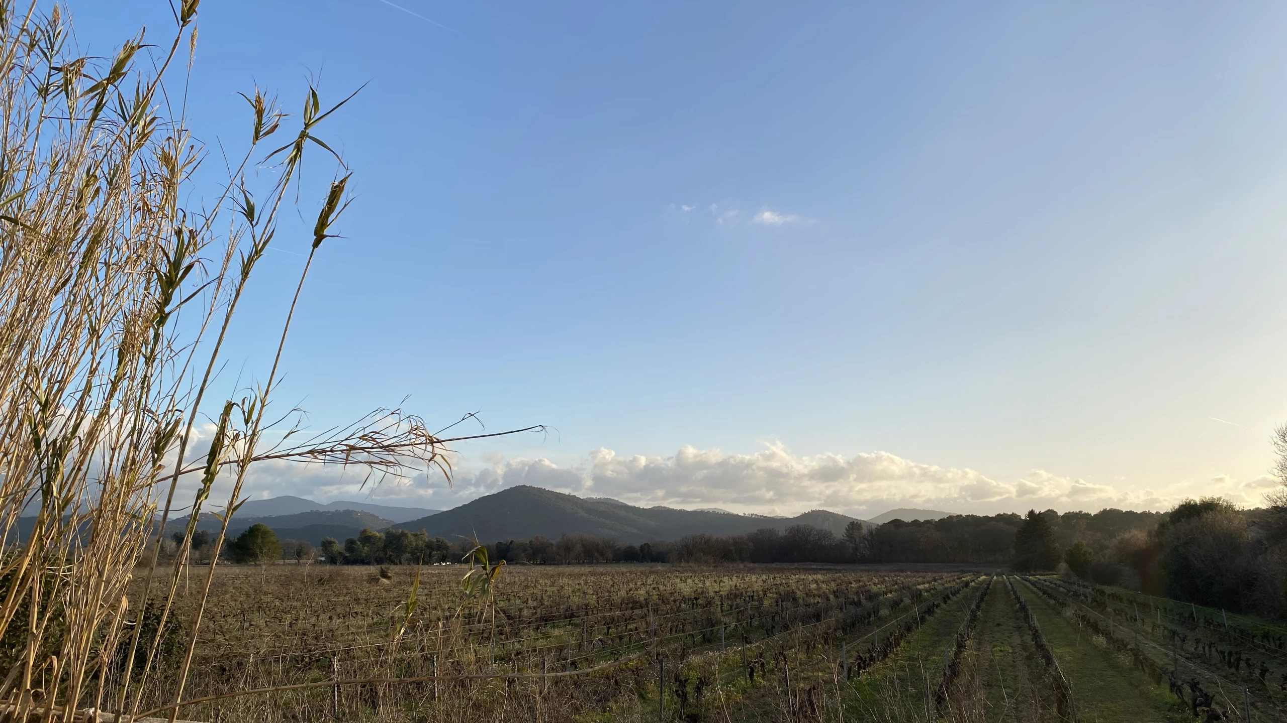 Le Muy : où en est le projet de centre pénitentiaire