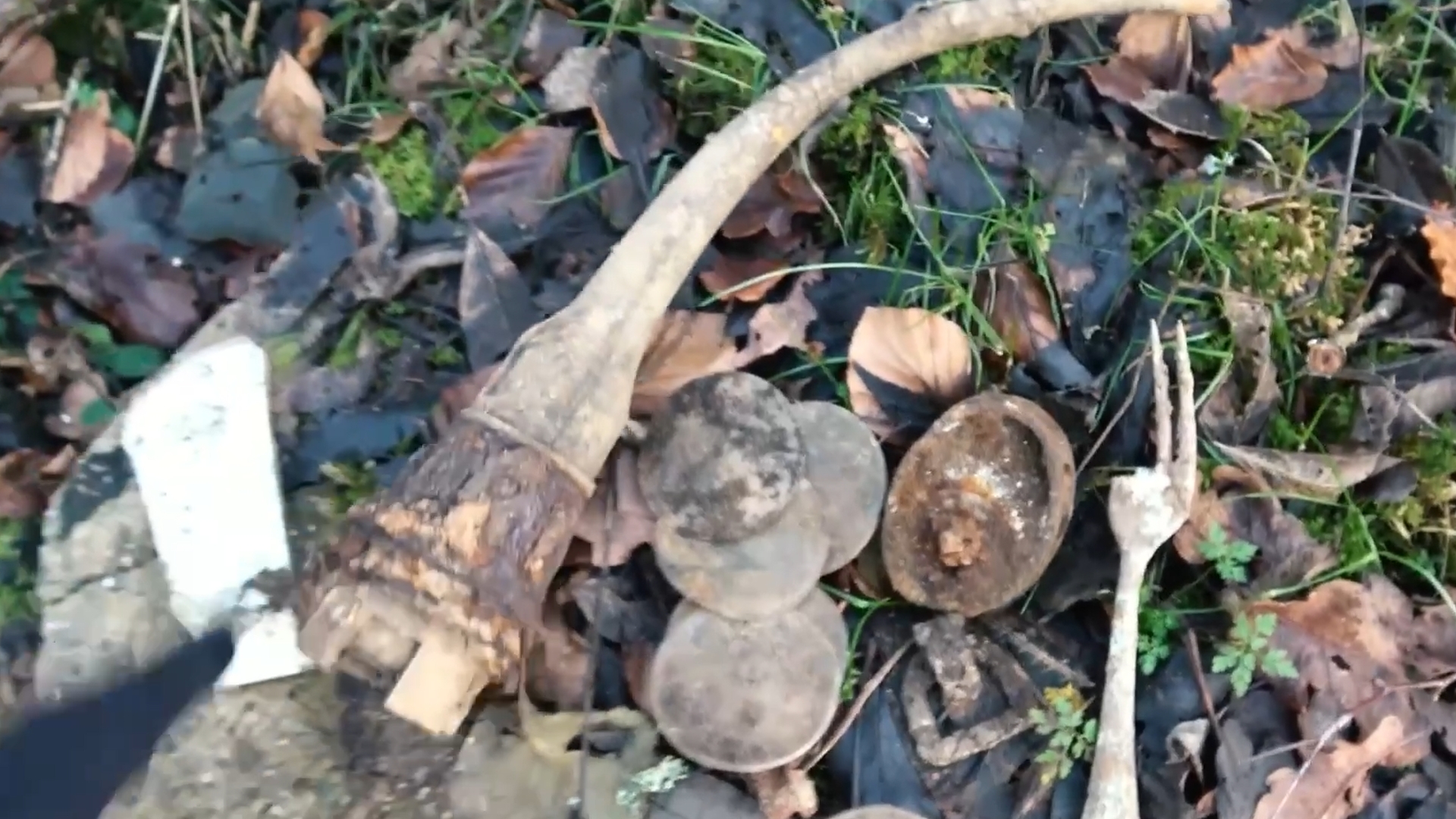 A forgotten German World War Two camp still holding personal relics