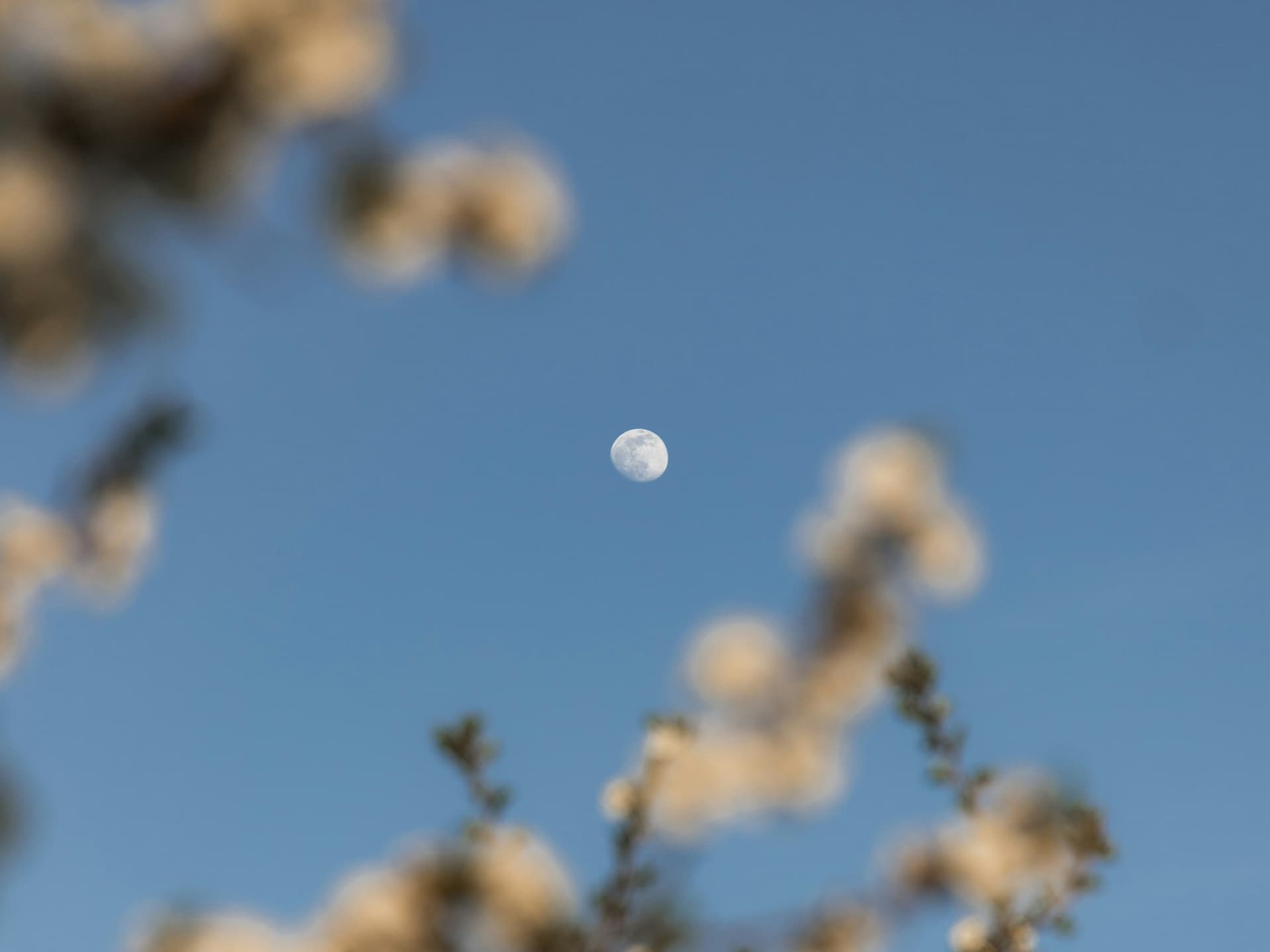 Wochenhoroskop: Das erwartet dein Sternzeichen vom 26. Januar bis 1 ...