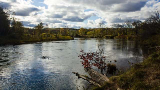 Expert urges people to eat creatures wreaking havoc in US waterways ...