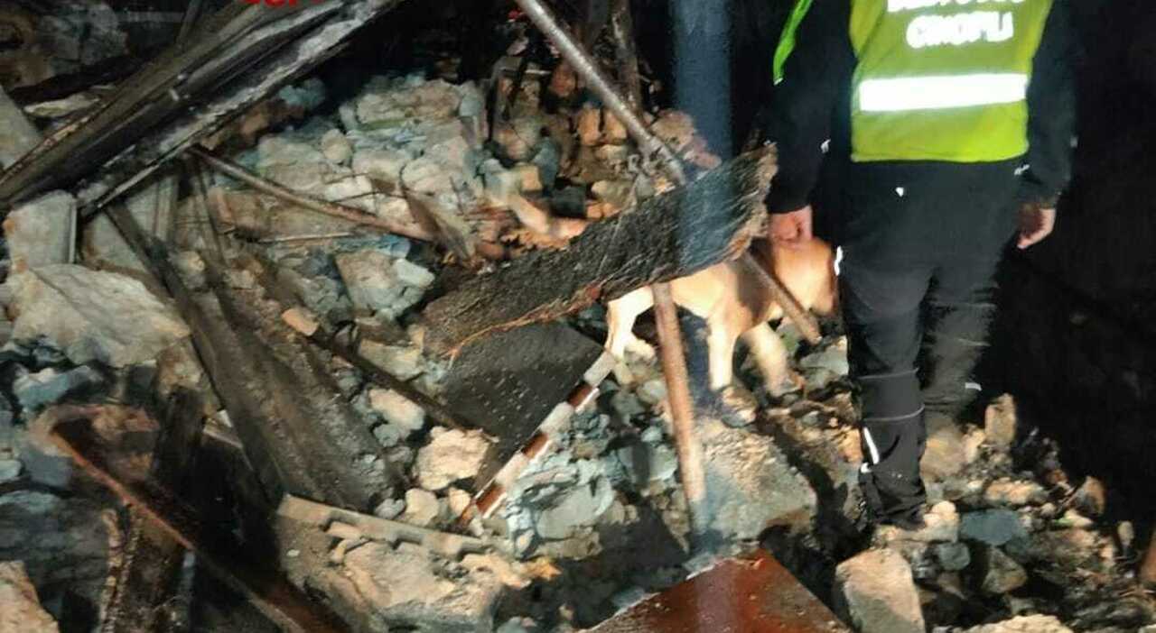 Forino, crollo di un palazzo disabitato: le unità cinofile escludono ...