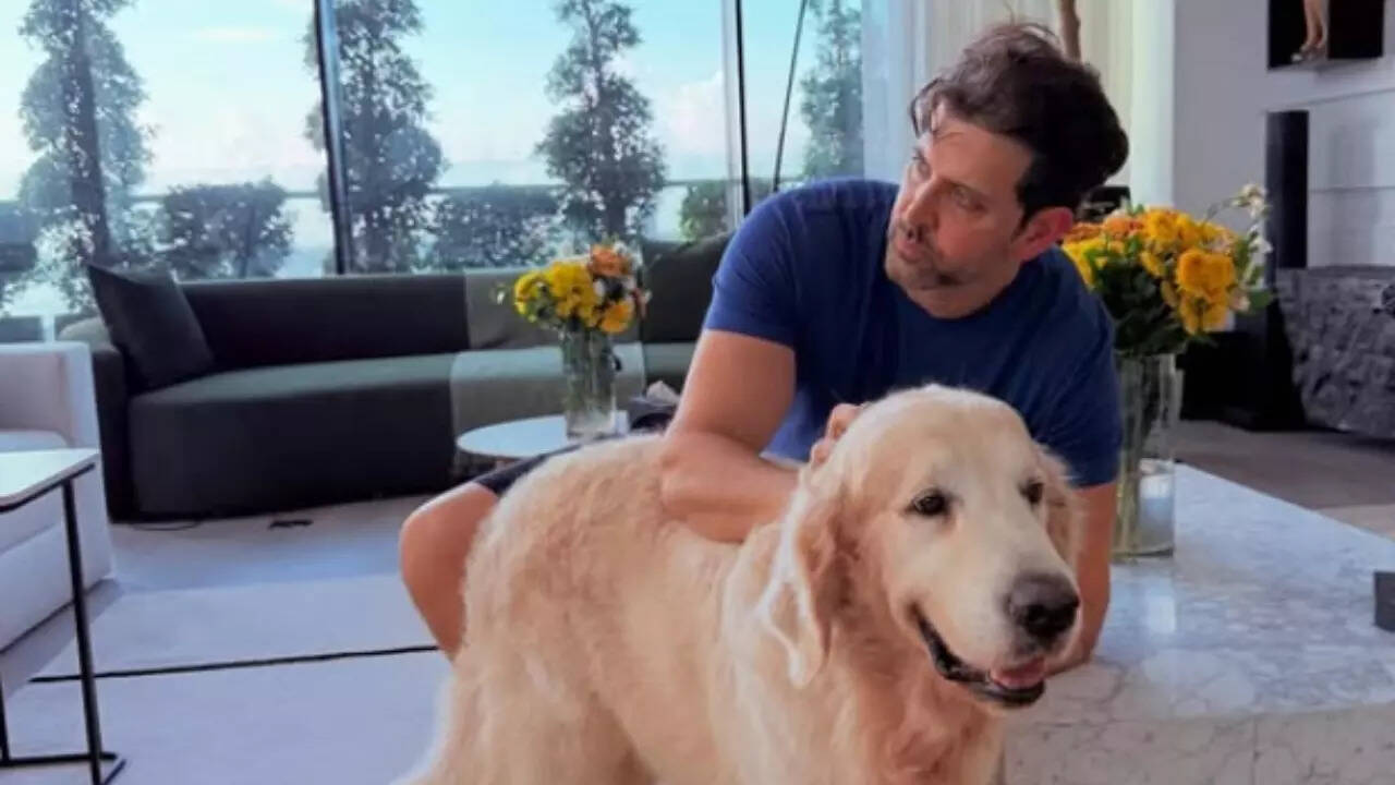 Hrithik Roshan shares adorable photo with pet dog Zane in new rant post ...