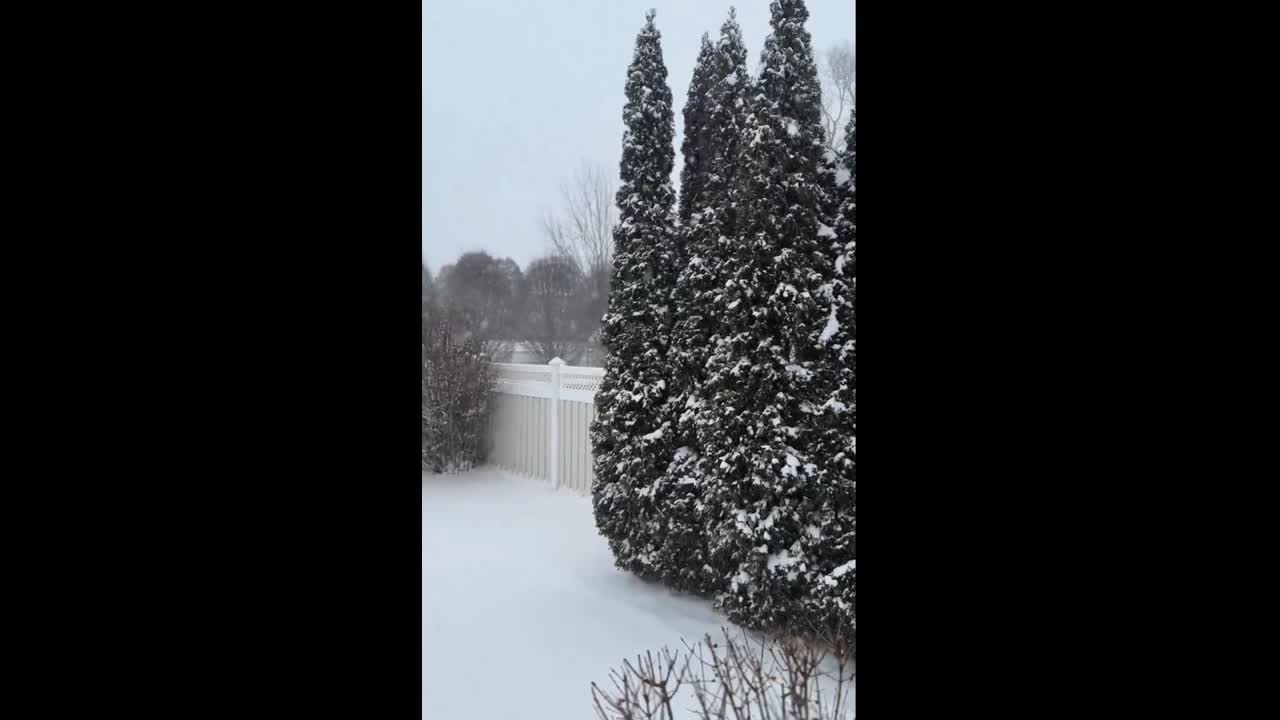 Winter storm Fern dumps heavy snow across Long Island as powerful nor ...