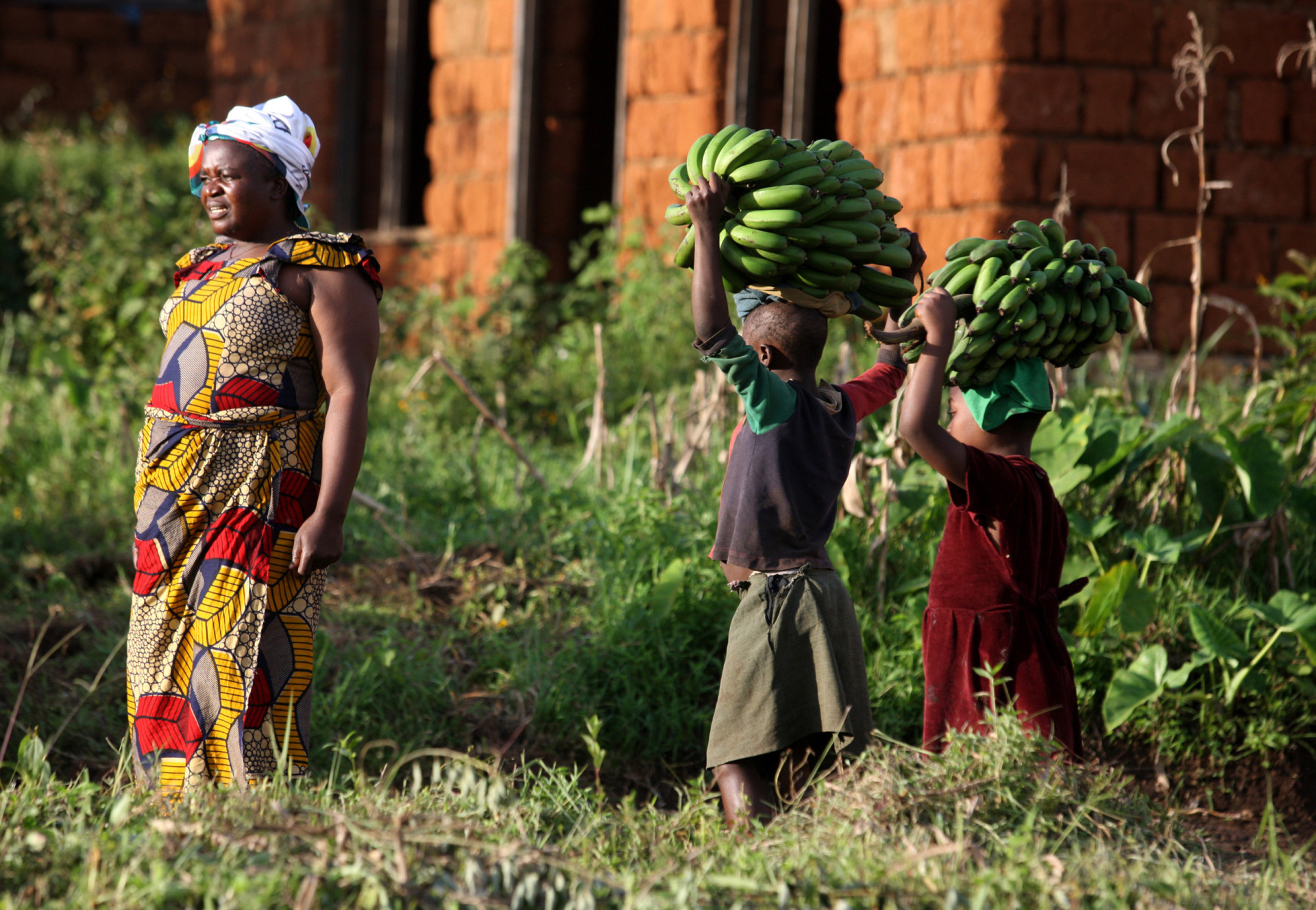 The most food self-sufficient countries in the world