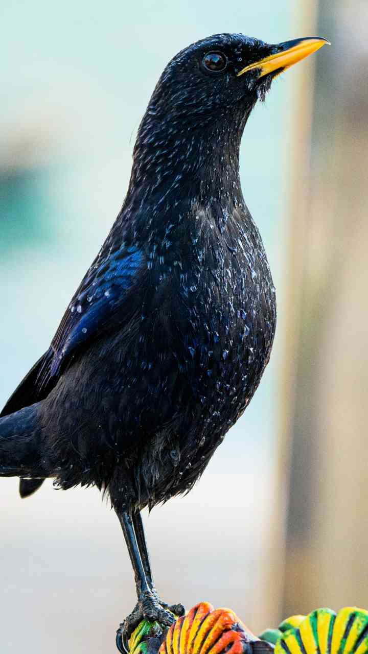 Sony A7M5 review | Mastering speed, detail, and dynamic scenes