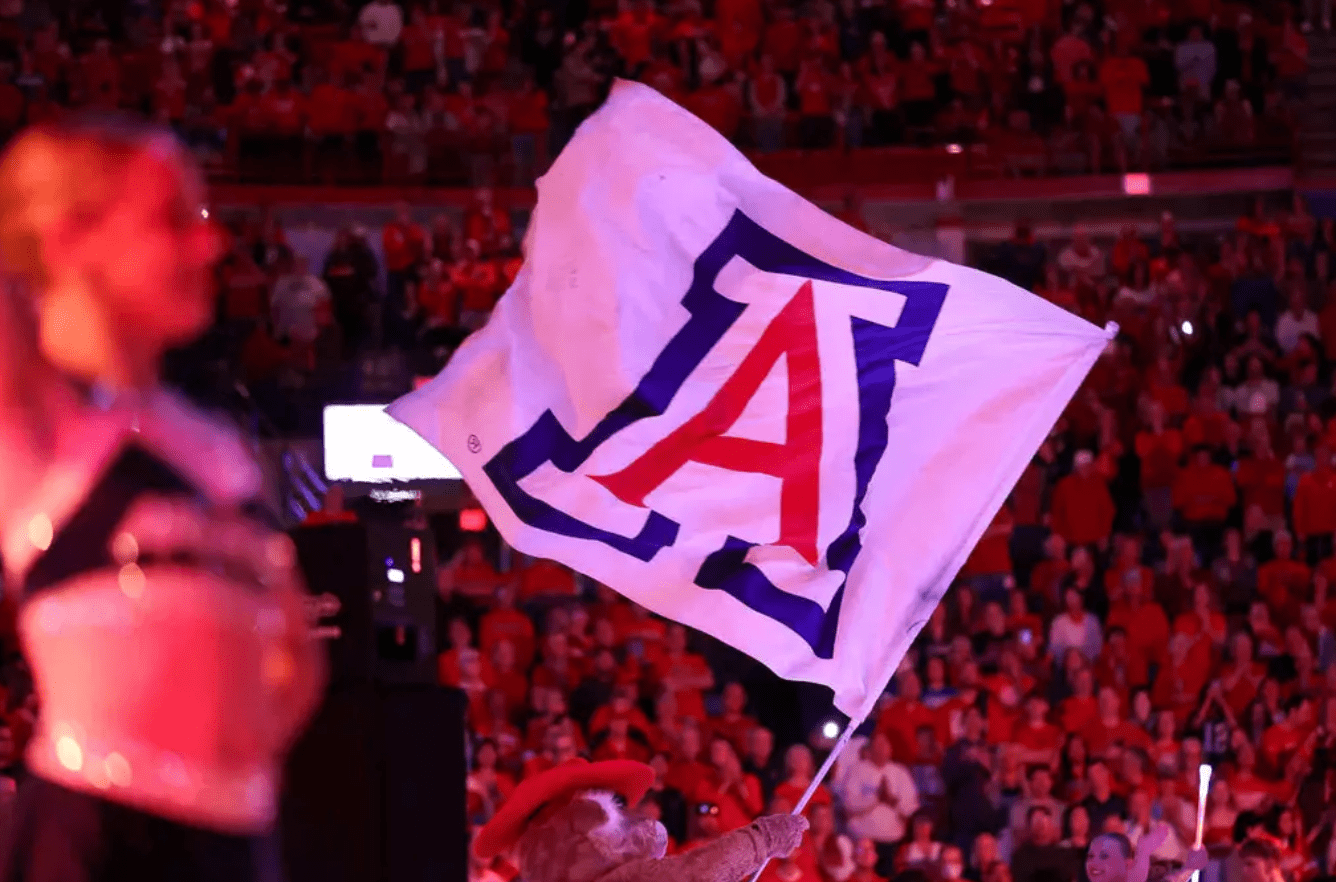 Arizona men’s basketball at BYU: Game time, TV schedule, odds ...