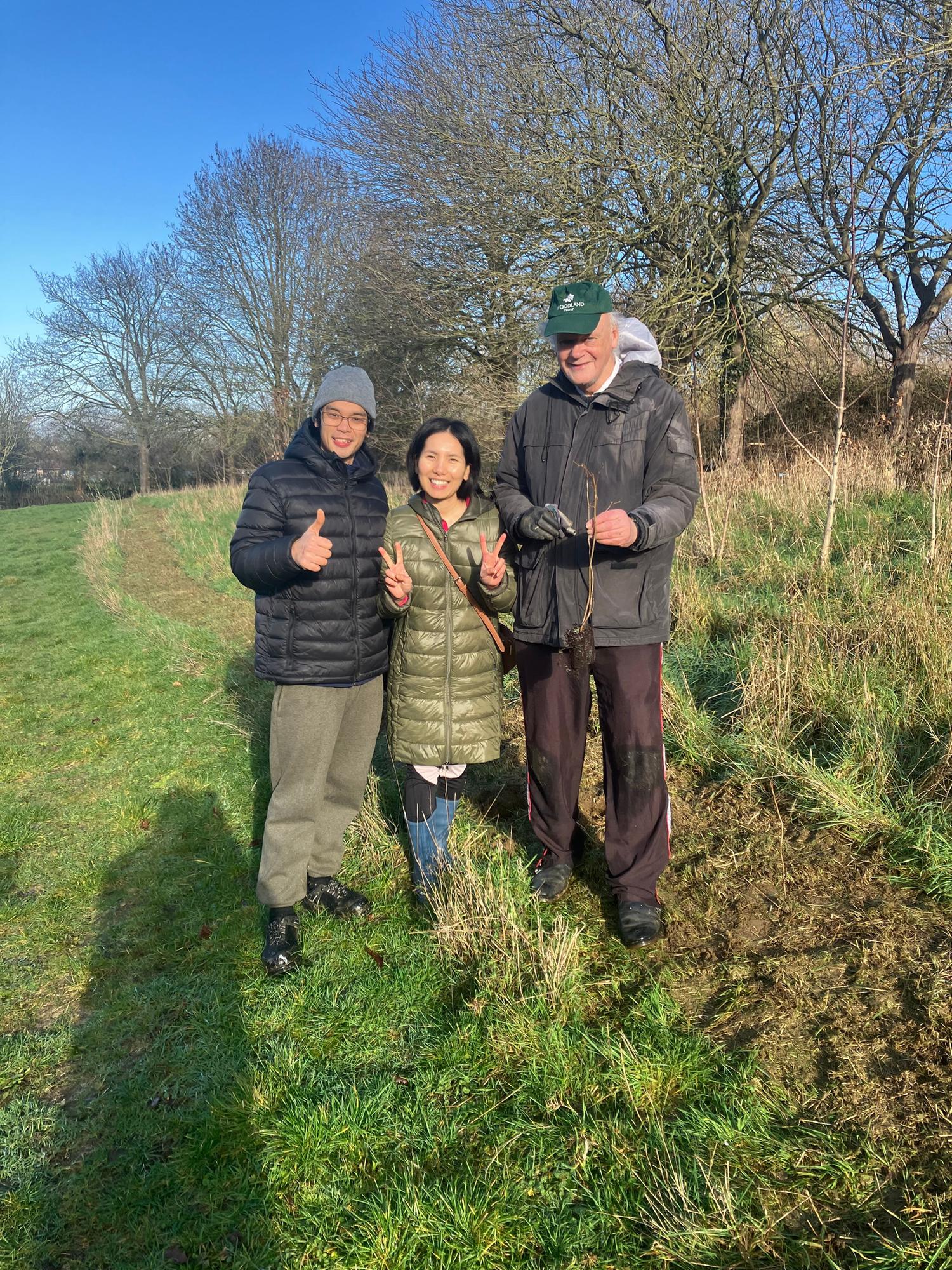 Church eco group plants trees in Bretton