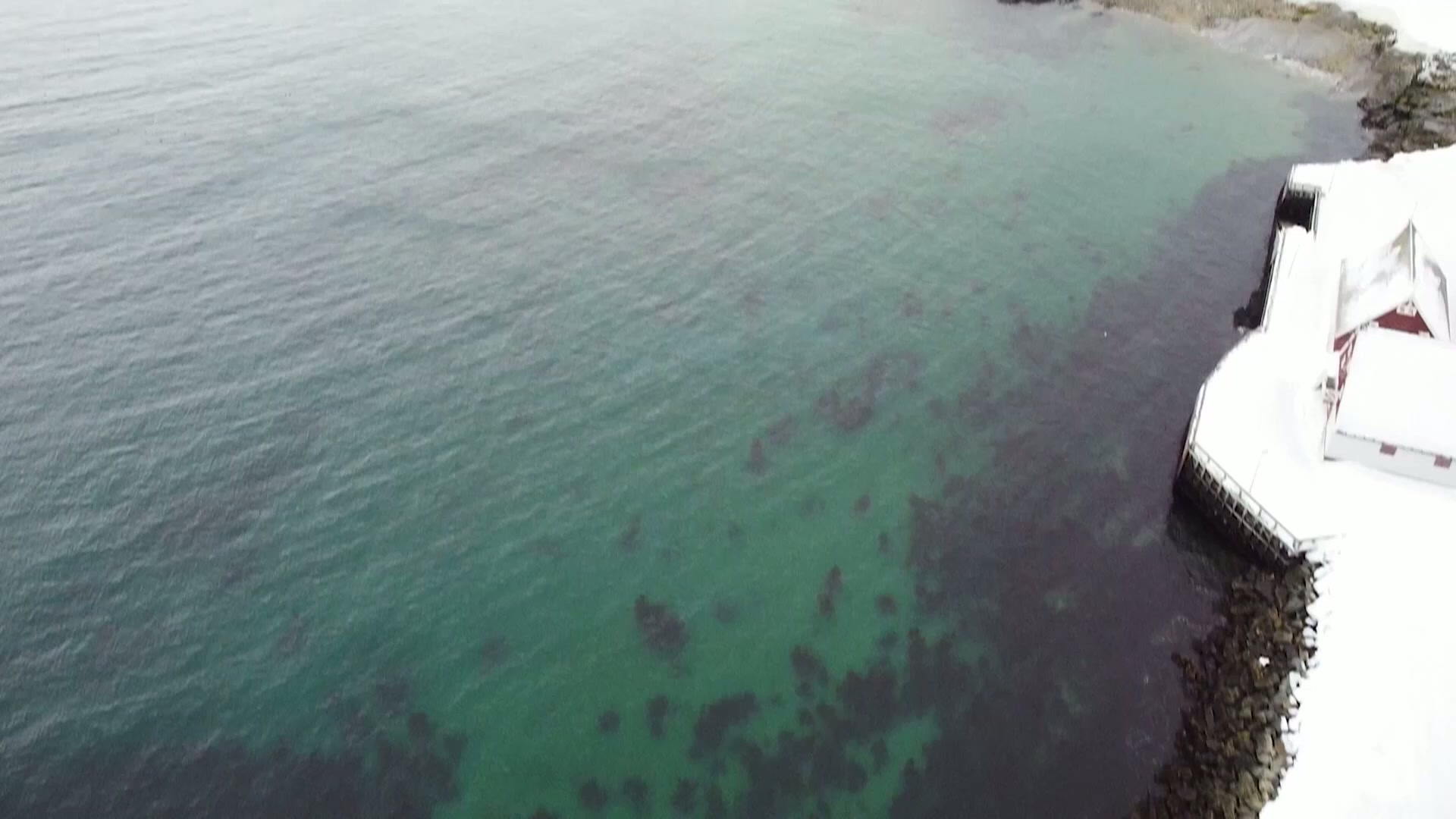 Watch the video: Is the EU building a European army?