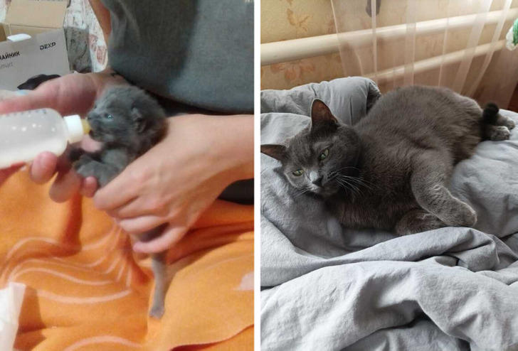20+ moments that prove quiet kindness is the only language everyone speaks
