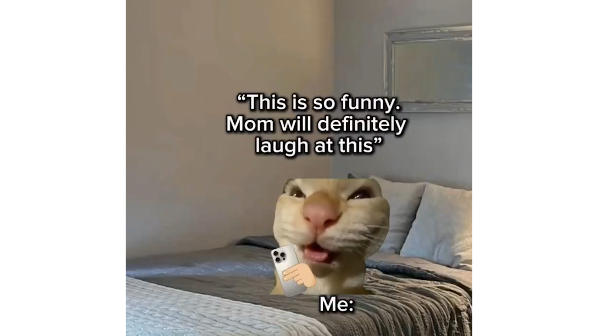 When I show my mom a funny meme on the internet