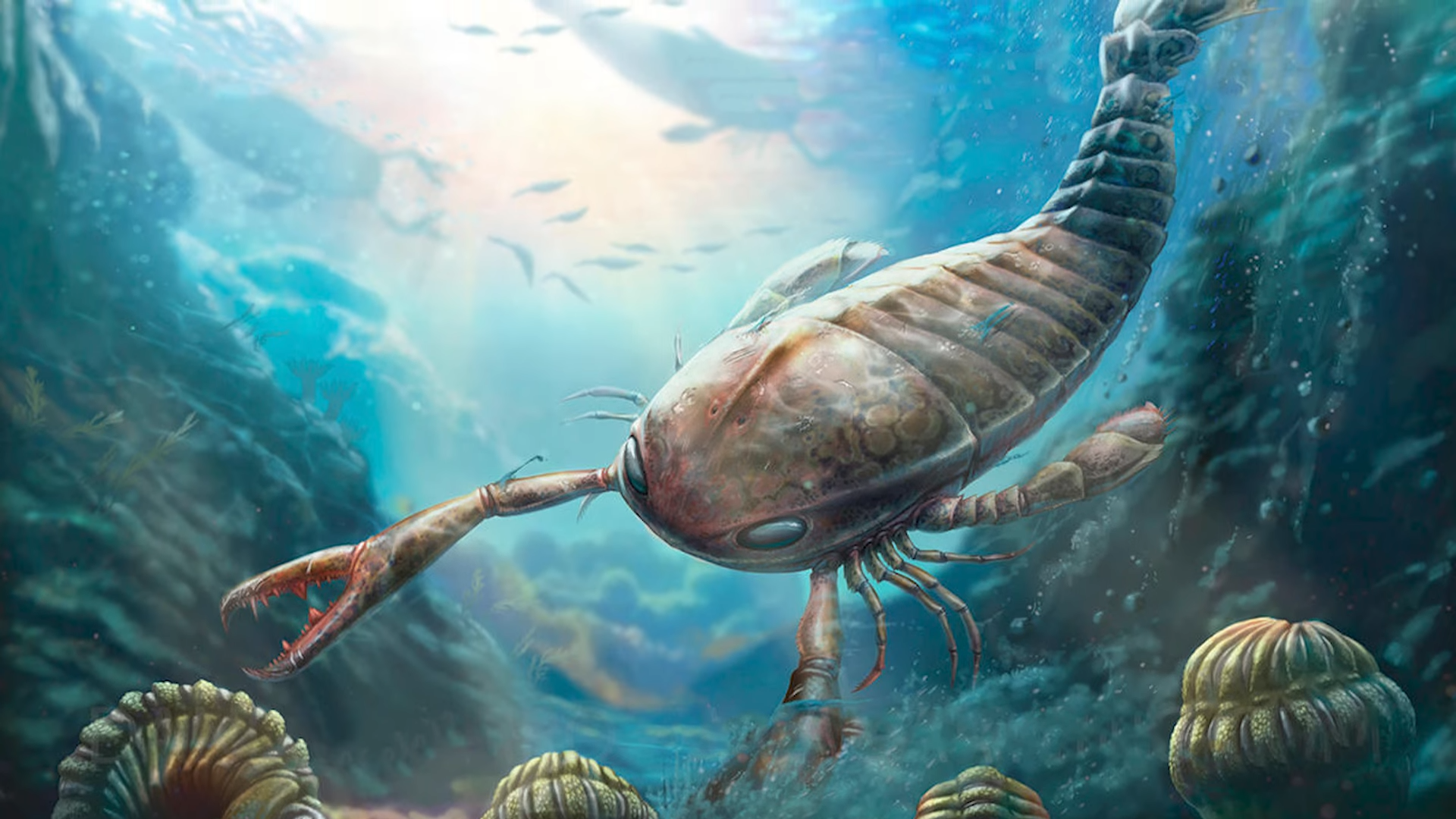 Fossils suggest a river once dominated by giant eurypterids but ...
