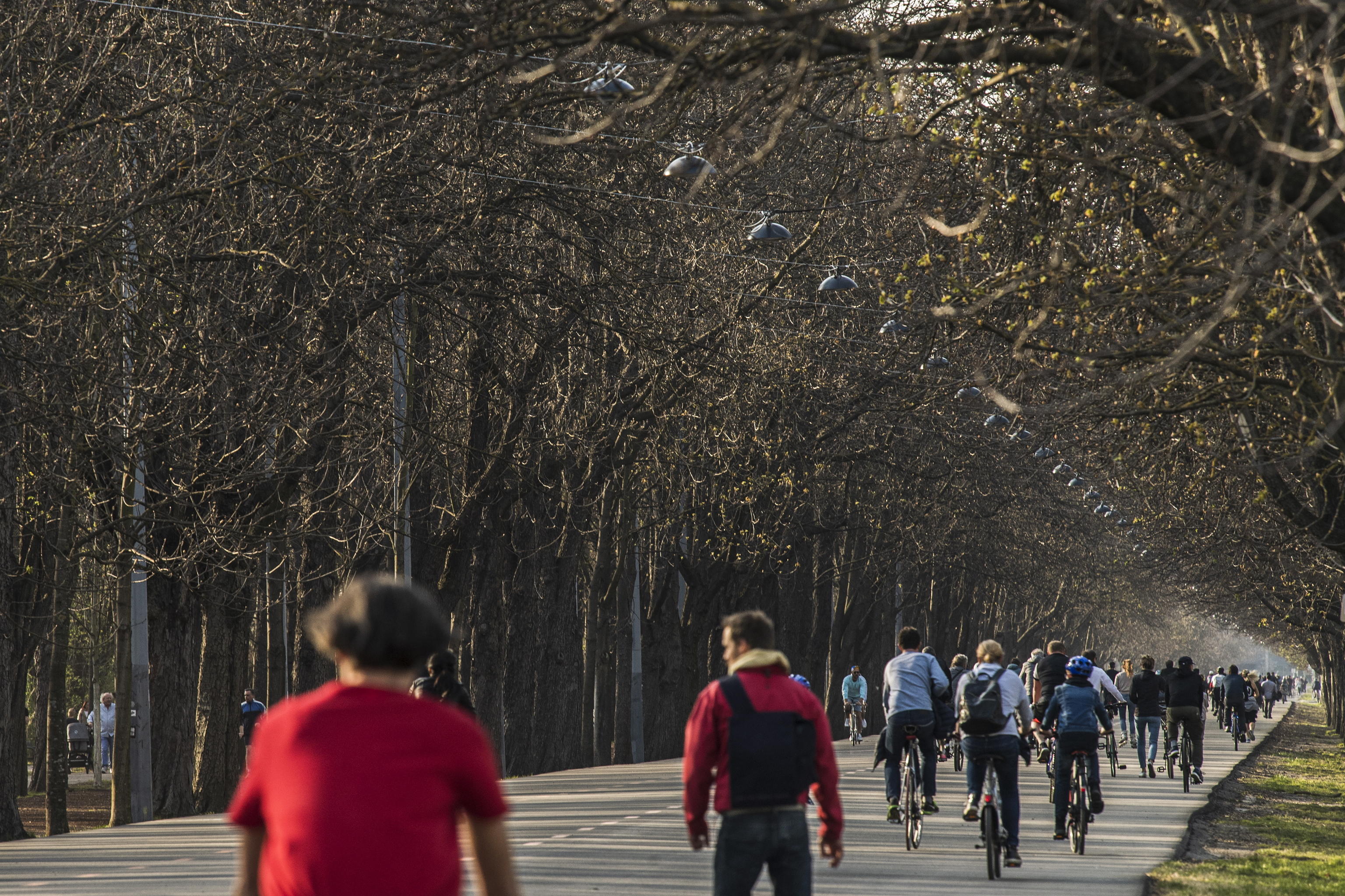 Nel 2025 morti 65 ciclisti in incidenti stradali in Austria