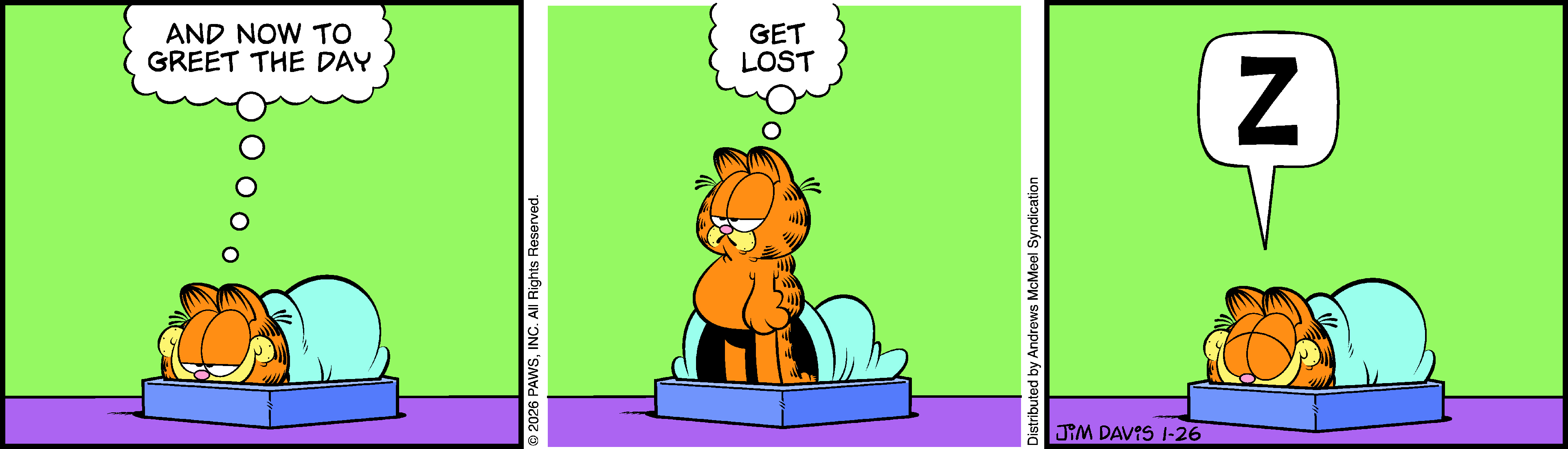 Garfield by Jim Davis