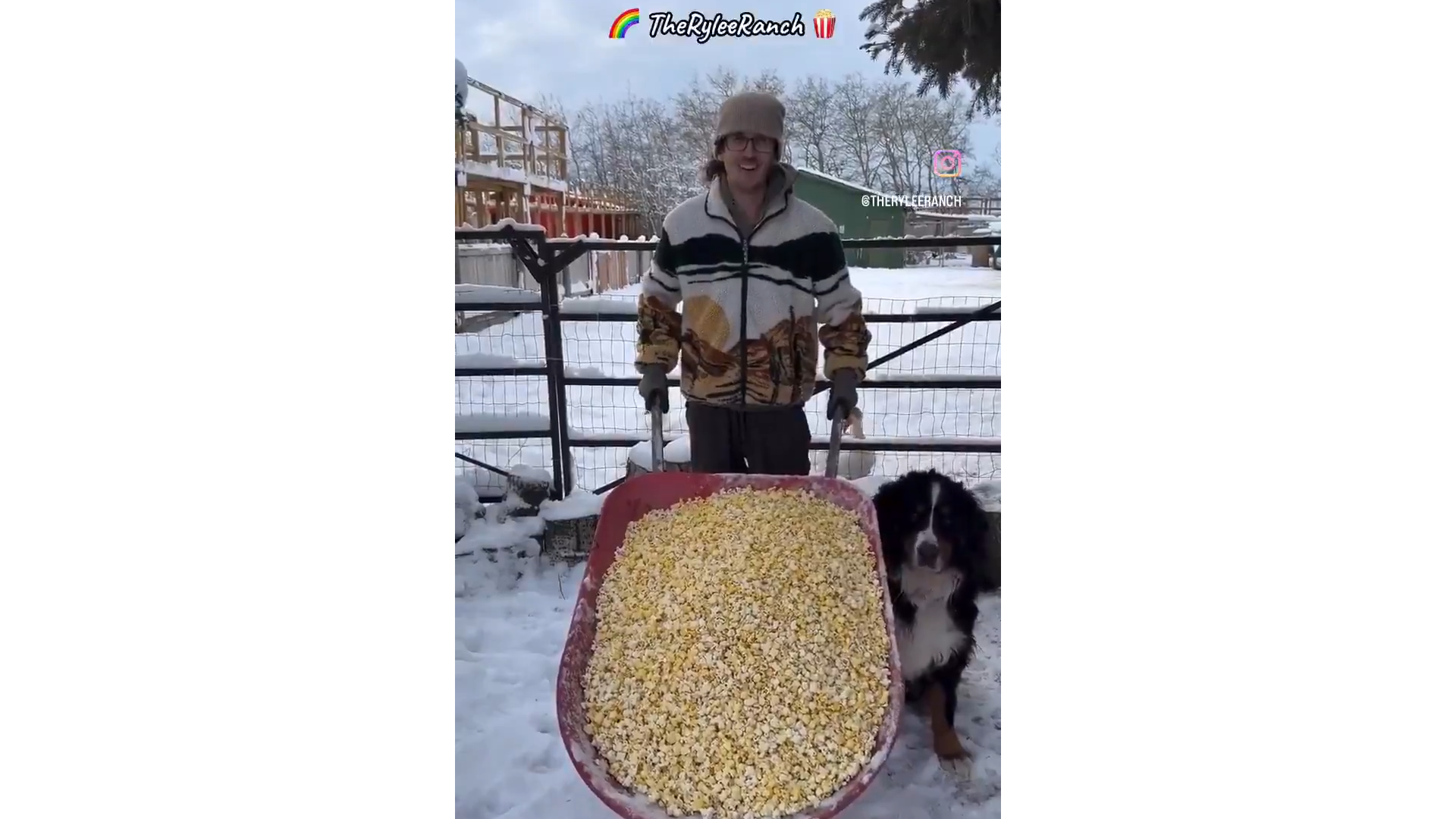 Man feeds all his cute animals a barrel full of popcorn