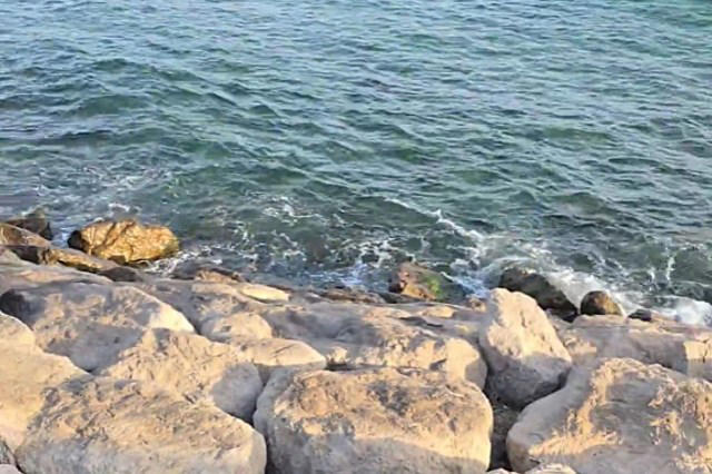 Passerby shares video after making upsetting discovery at popular beach ...