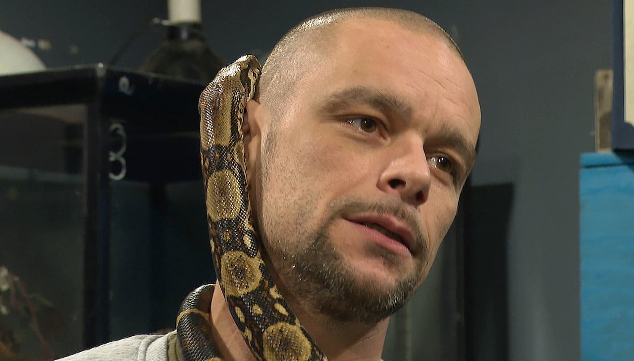 High power bill leaves St. Stephen man's reptile collection with ...