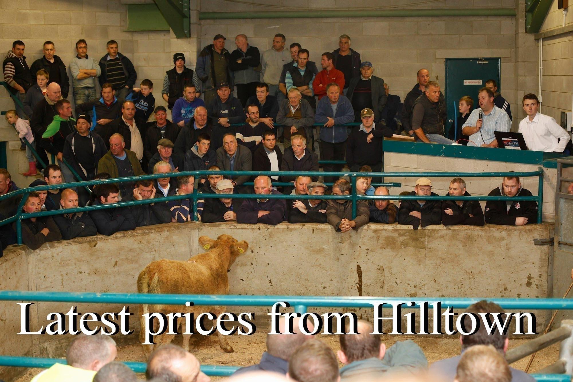 Fat cows selling to £3640 at Hilltown saleyard