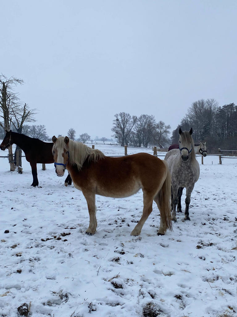 Schnee und Glätte am Montag: Mehr als 45 Unfälle in Leipzig und Umgebung