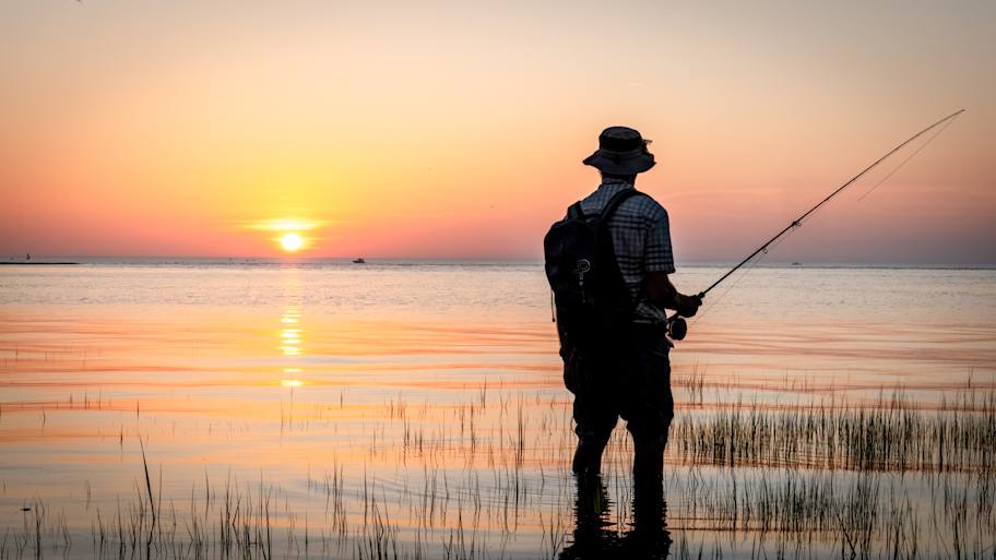 Wadeable white sandy flats, crystal clear water, cruising striped bass ...